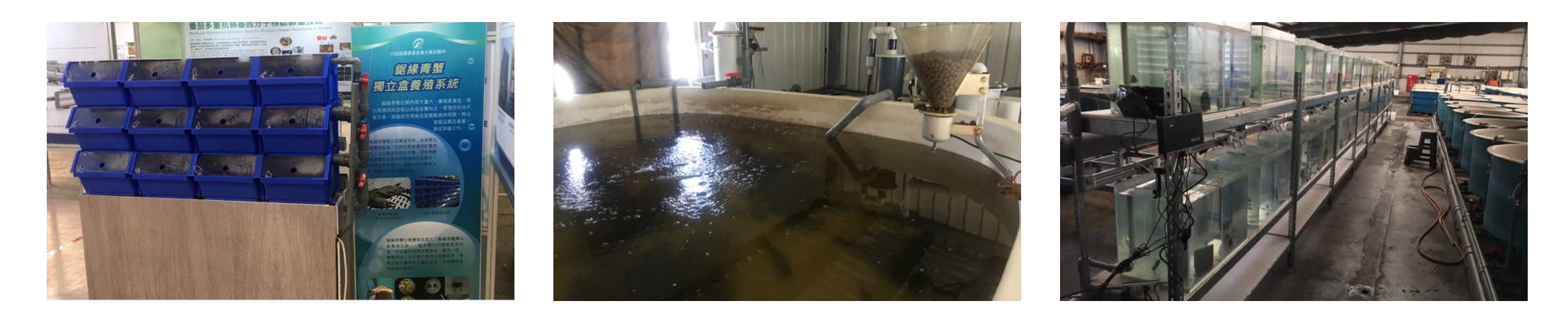 Smart Aquaculture System